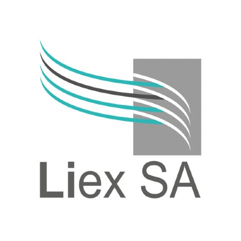 Argentina Mining Online: Liex SA