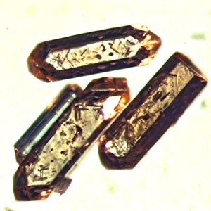 Argentina Mining 2022: La.Te Andes SA - Análisis por trazas de fisión ...