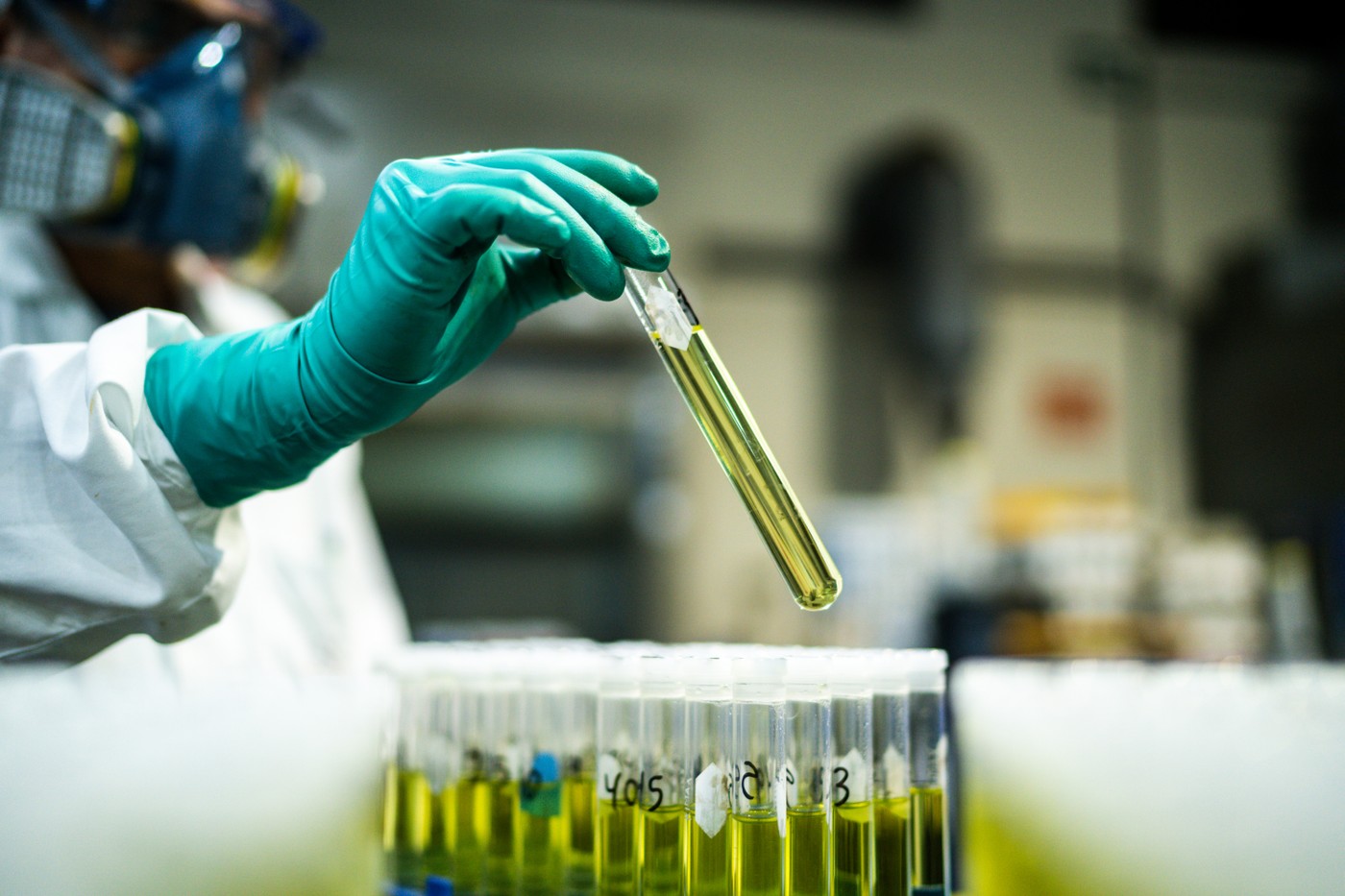 Argentina Mining 2024: SGS - Exploración